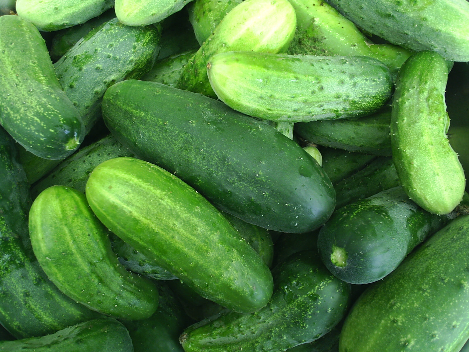 Cucumber Gherkin