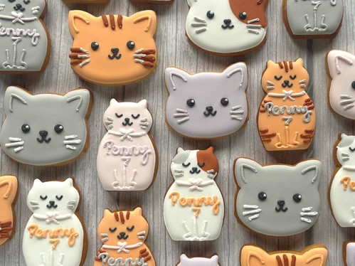 Cat Individual Biscuits | The Biscuit Barn