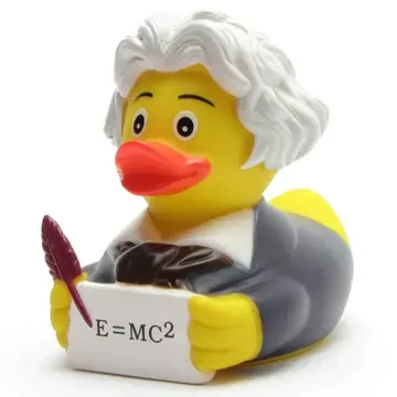 Einstein Rubber Duck | Wicked Ducks