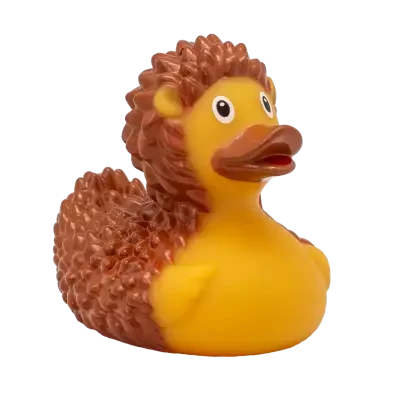 Hedgehog | Wicked Ducks