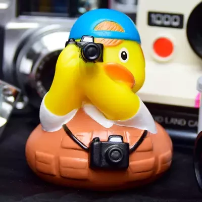 Photographer Duck | Wicked Ducks