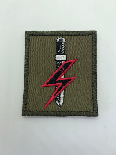 Special Forces Protection Group DZ Patch | guardsgear