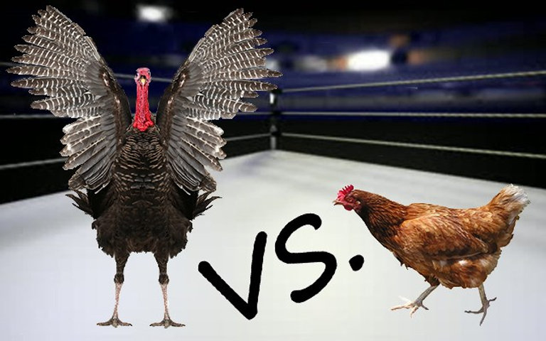 Turkey VS. Chicken; Which Has More Protein?