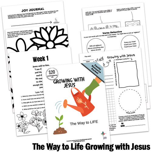 The Way to Life: Growing with Jesus | Visual Faith Min