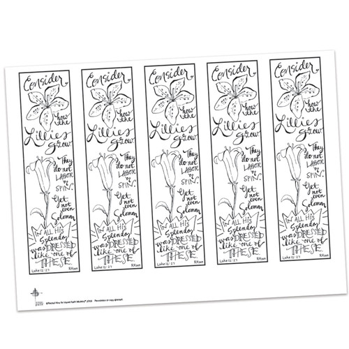 Luke 12:27 Bible Margin by Rachel Hinz | Visual Faith Min