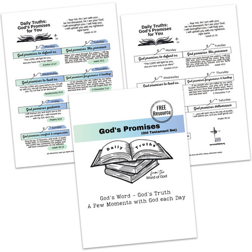 Daily Truths Cards: Old Testament Promises | Visual Faith Min