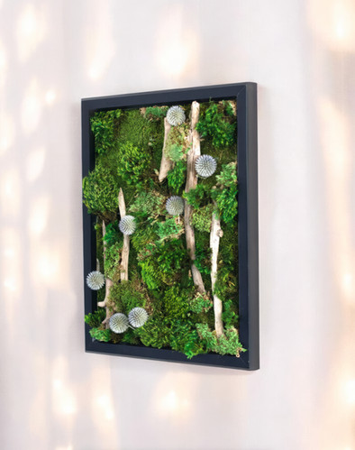 Azure - Moss Wall Art | Art Botanica