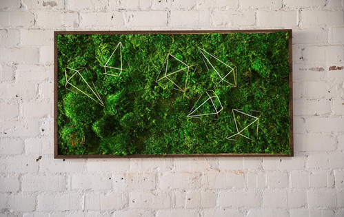 Geo - Moss Wall Art | Art Botanica