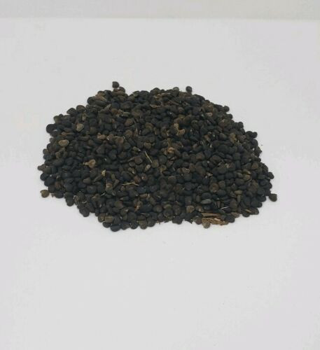 TOLOACHE SEMILLAS PARA ATRAER Y DOMINAR AL SER AMADO INSTRUCCIONES ...