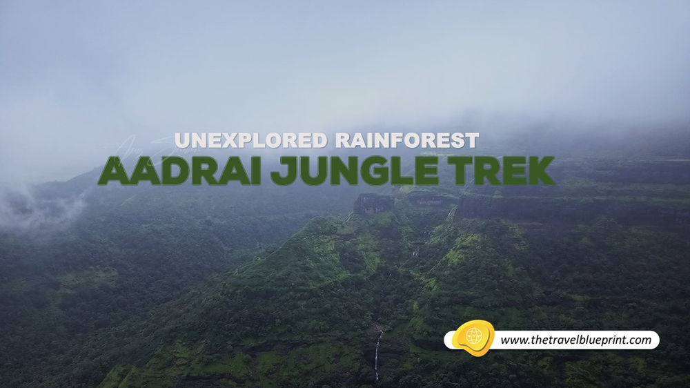 Aadrai Jungle Trek - Unexplored Rainforest
