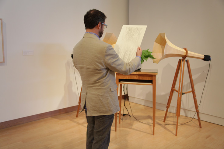 Fern Stations I-III | Megmitchell2