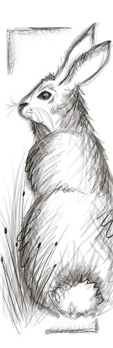 Tall Rabbit Print-to-Order | Jeff Tadsen Art