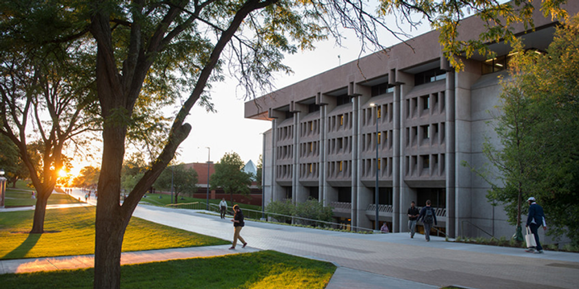 Bird Library: The Perfect Place to Focus