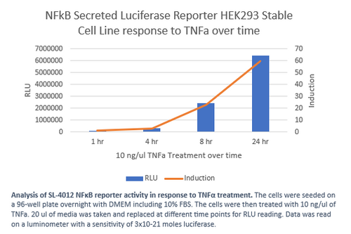 NFkB Secreted Luciferase Reporter HEK293 Stable Cell Line (2 vials ...