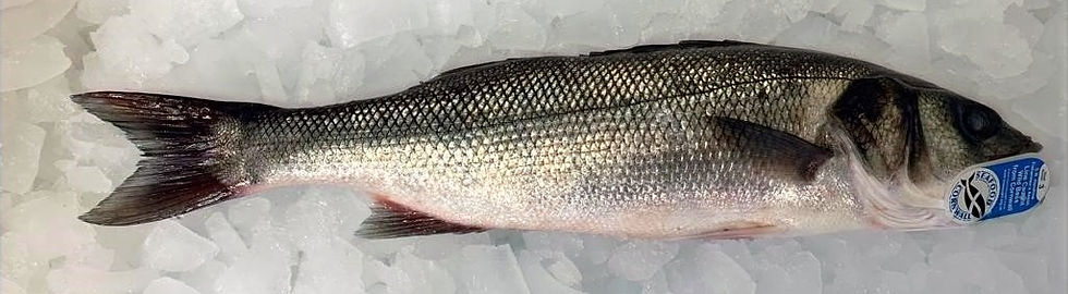 Cornish Fresh Fish and Shellfish | Home Delivered Celtic Fish & Game