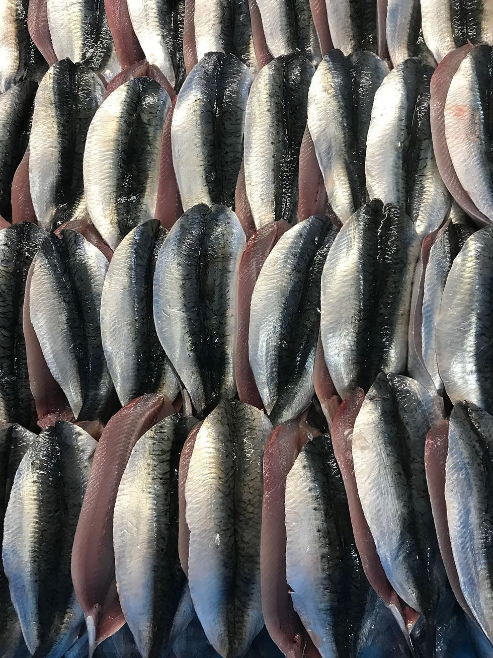 Cornish Fresh Fish and Shellfish | Home Delivered Celtic Fish & Game