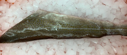 CORNISH COD FILLET, 1.2-1.4KG | Online Shop CFG