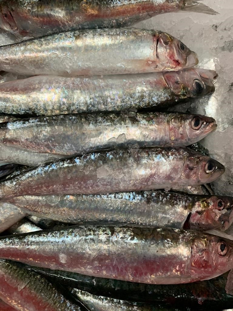 Cornish Fresh Fish and Shellfish | Home Delivered Celtic Fish & Game