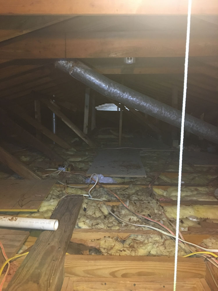 What issues to expect to find in the attic
