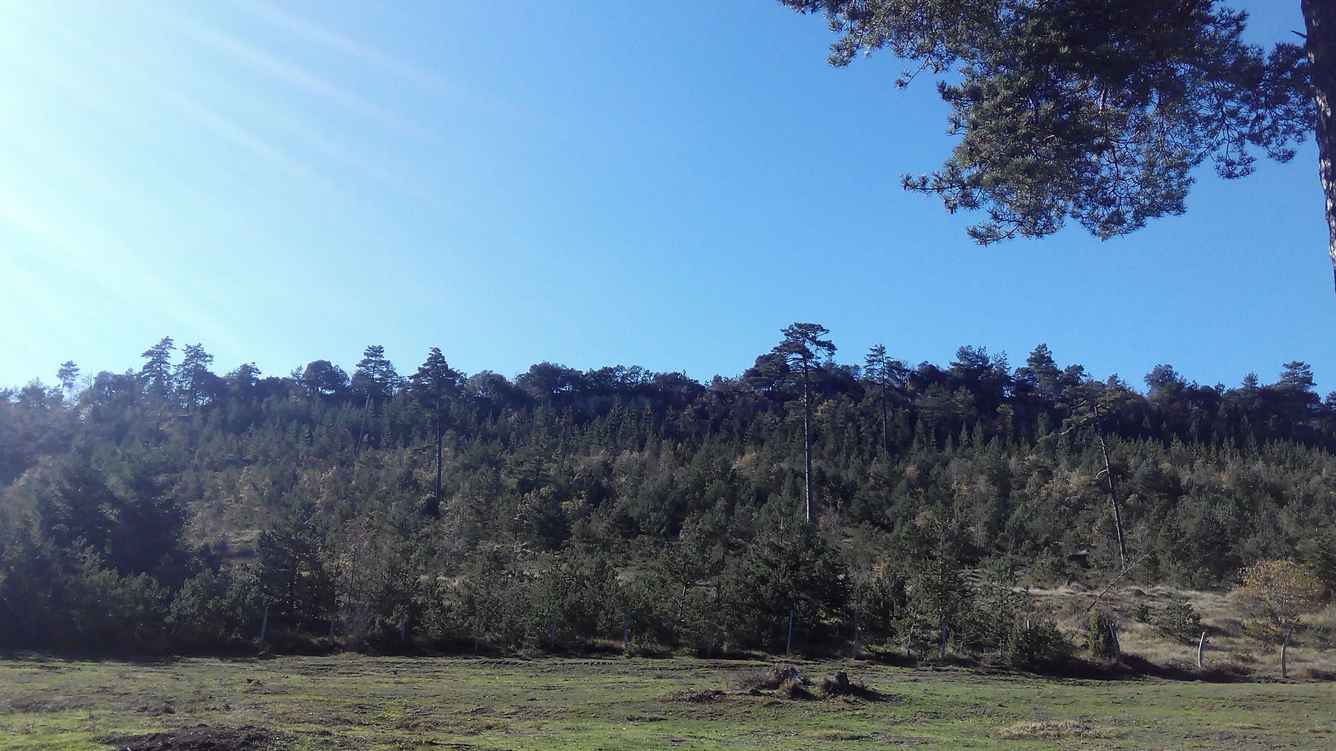 RODAL 1 | selviwebelroblon