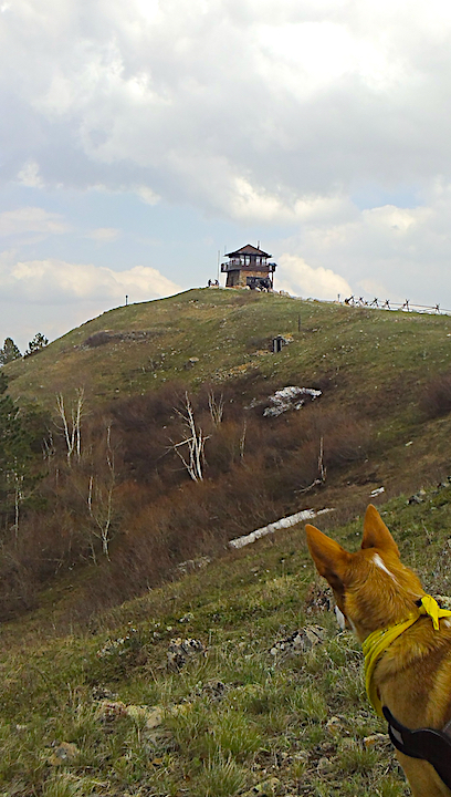 Cement Ridge Lookout