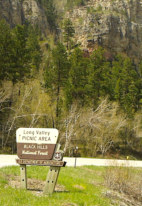 Long Valley Picnic Area