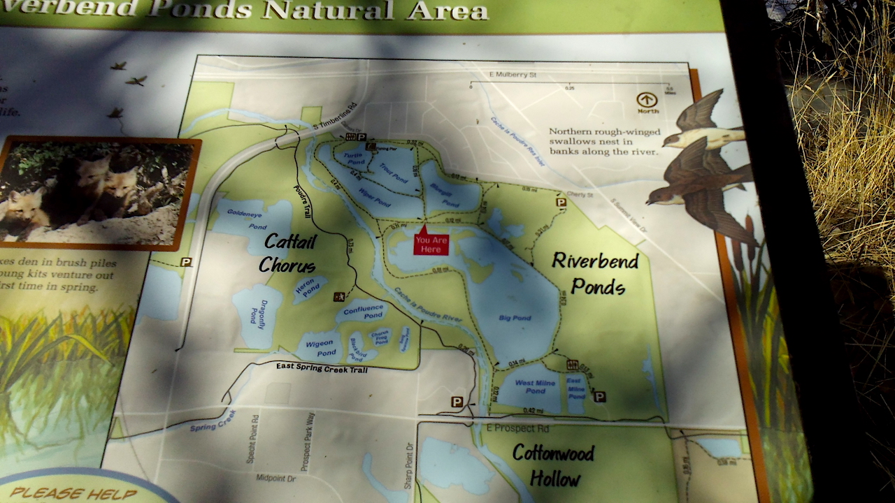 Riverbend Ponds Natural Area