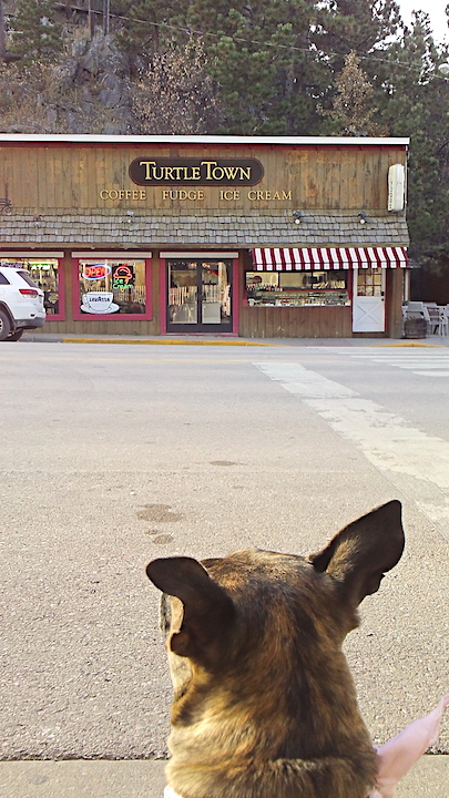 Turtle Town -Keystone