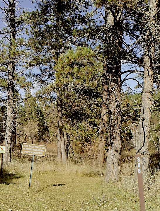 Scenic Drive -Teepee Gulch