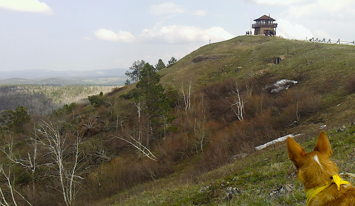 Cement Ridge Lookout