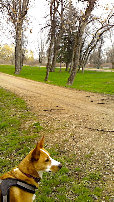 Connor Battlefield Historic Site