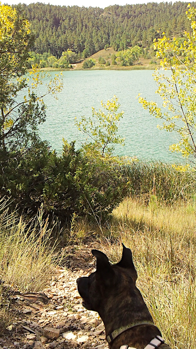 Cold Brook Lake