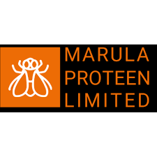 Accountant job at Marula Proteen Limited | AfriCareers