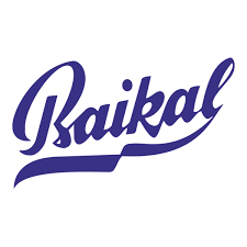 Branch Manager job at Baikal Financial Services Ltd | AfriCareers