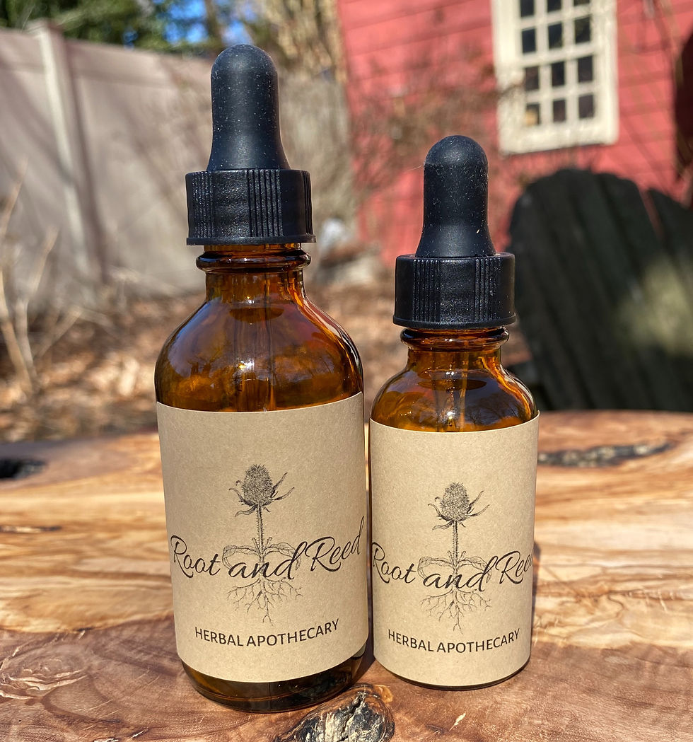 Licorice Root Tincture | Root and Reed Herbal