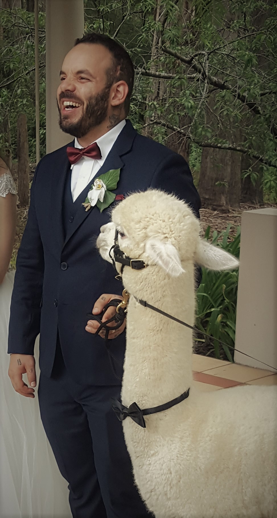 Alpaca Kisses | Elias & B