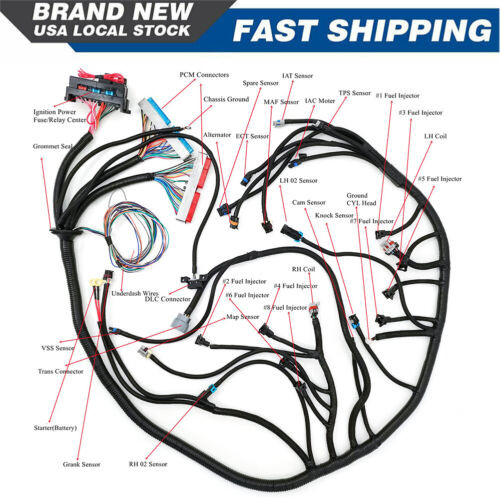 stand alone wiring harness (red,blue)-connector | A Step Ahead Perform