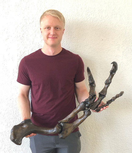 Allosaurus Arm - Replica- Full Size | Mysite