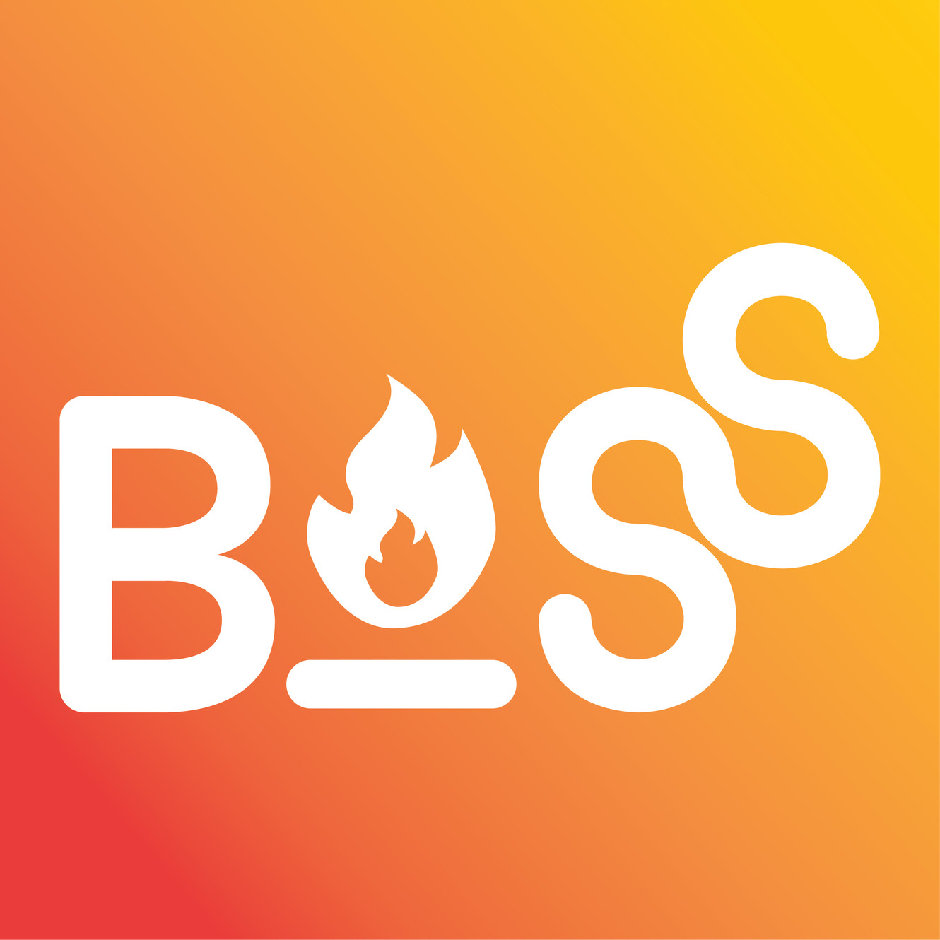 BOSS | ABOUT