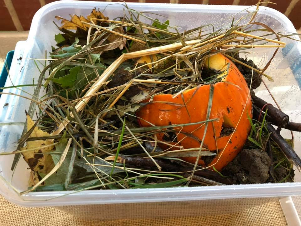 Compost Pumpkin