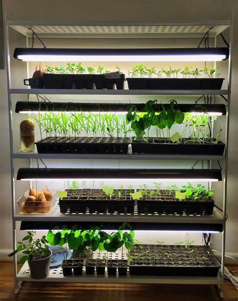 Growing Crops Indoors!