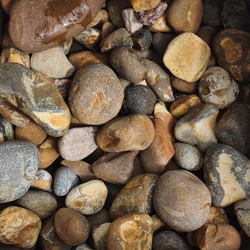 Oyster Pearl Pebbles | Website