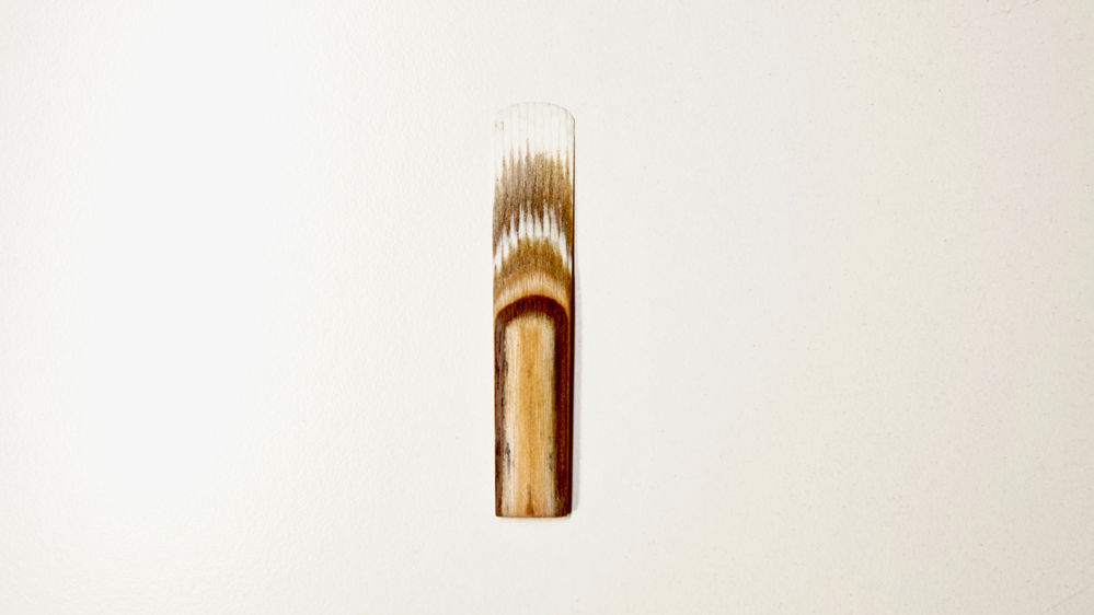 Best Synthetic Clarinet Reeds of 2021, Review and Ranking - Clarinet U ...