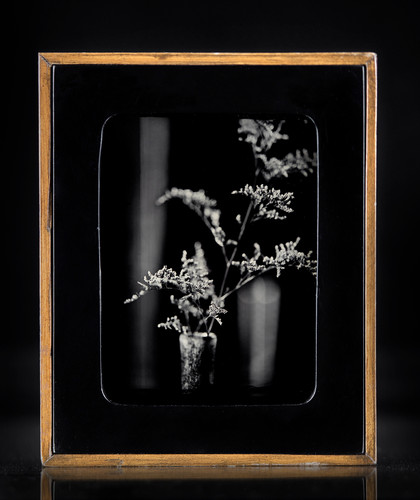 Ferrotipo 4x5 | carlosaranda