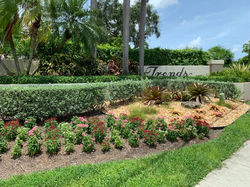 Home | Trends at Boca Raton