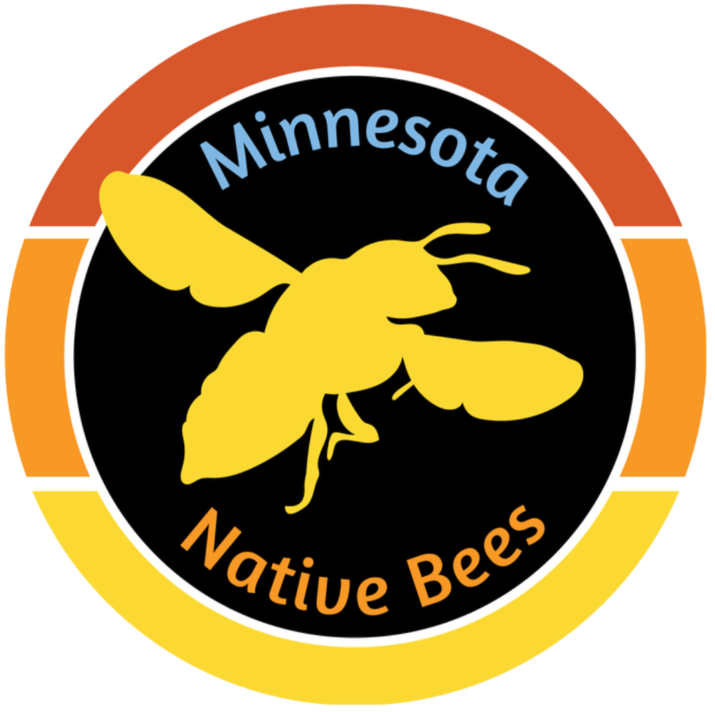 Bee Guide | Minnesota Native Bees