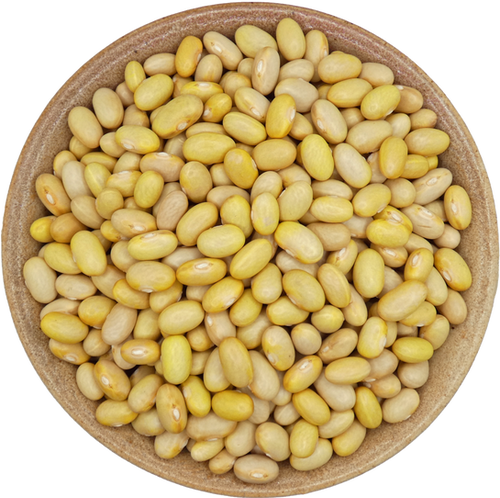 Yellow Beans | Central Bean Company