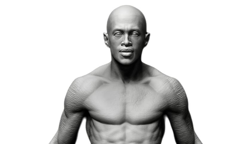 Training | Creature Bionics