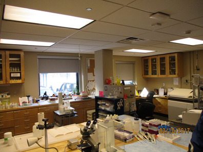 SUNY ESF Baker Laboratory | Popli Design Group