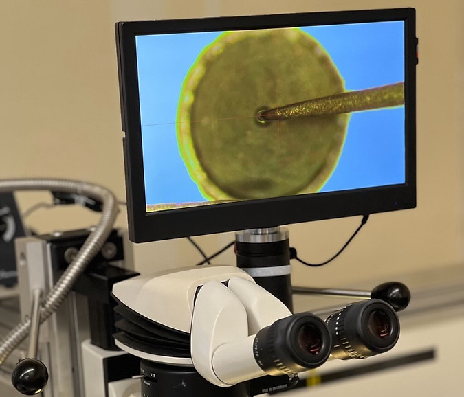 PRVX2 | PRVX3 | PRVX2 | PRVX3 | Probe Card Analyzer | Profixa Technology